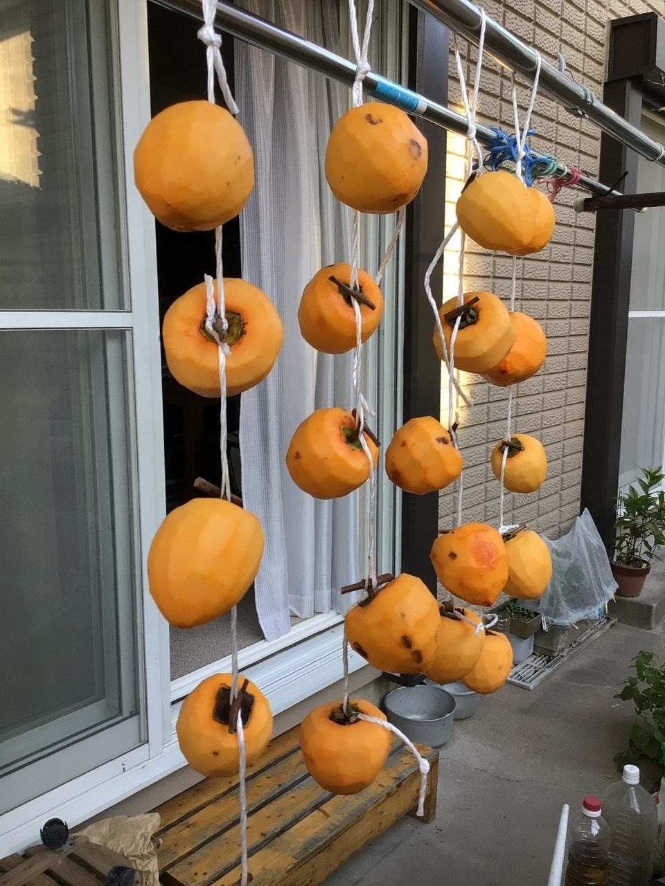 久々の旅: 本日は…